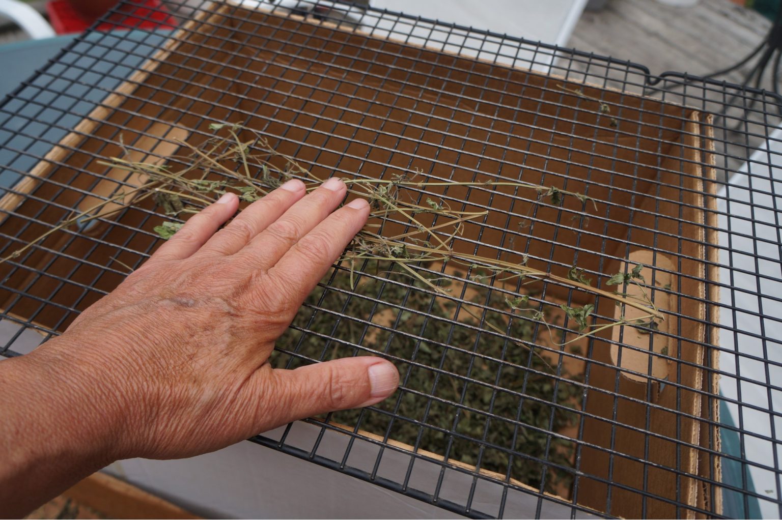 Garbling and Storing Dried Herbal Plants – Adirondack Herbals
